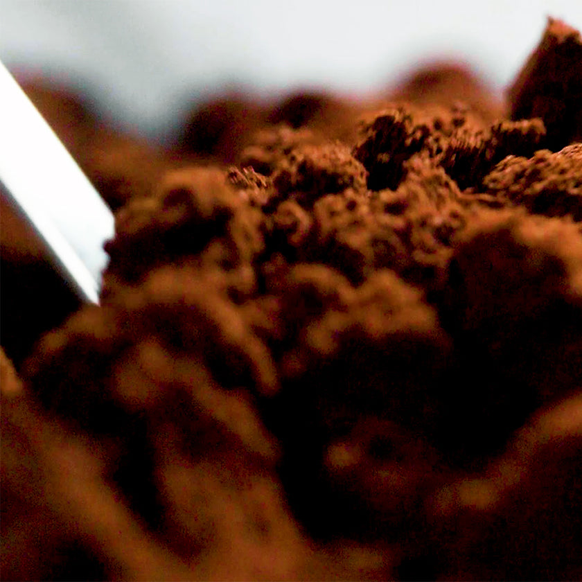 Kavat Coffee - Premium Organic Coffee